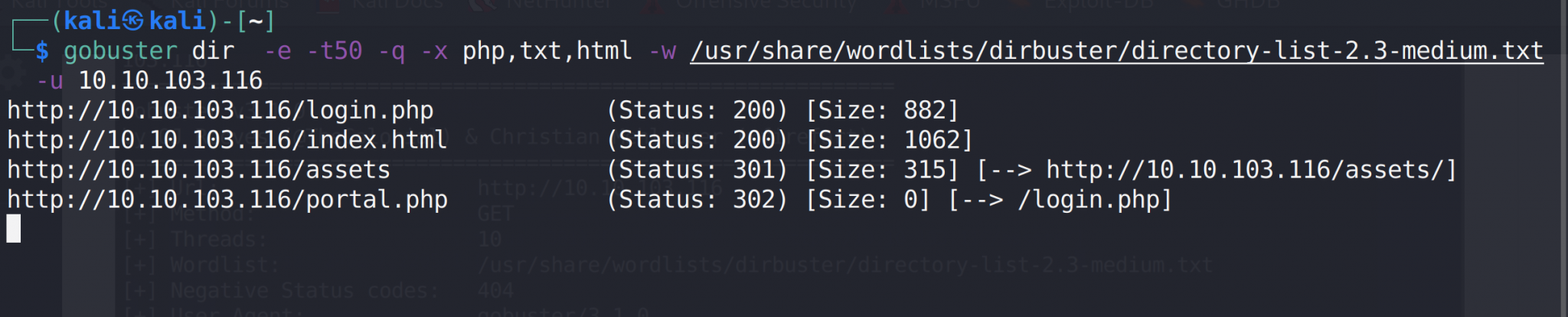 gobuster – finding files, directories and subdomains – cybersecbits