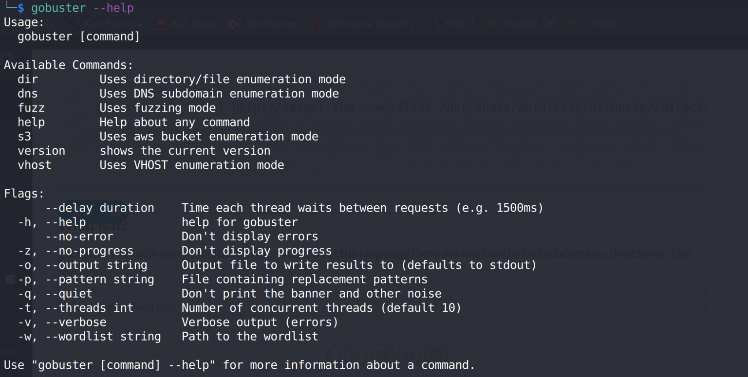 gobuster – finding files, directories and subdomains – cybersecbits